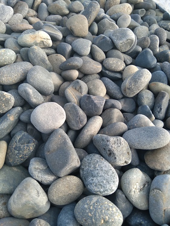Mexican Beach Pebbles, Stafford, Woodlands, Spring Houston, TX